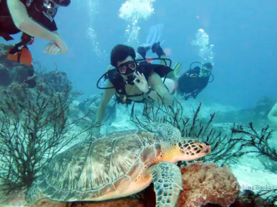 Splash: Steps to beach! Ocean views! Pool! - Destin / 30A Florida Large ...